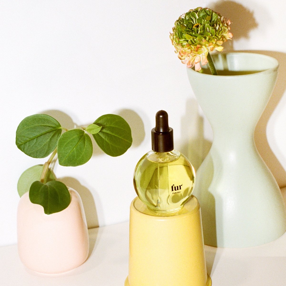 Why Fur Oil Is Changing the Game for Haircare